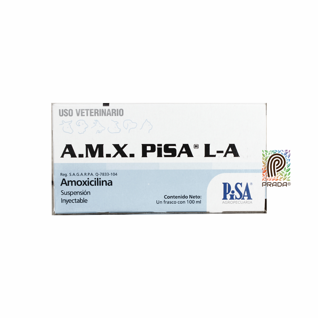 AMOXICILINA A.M.X. LA X 100 ML | PRADA SABINC